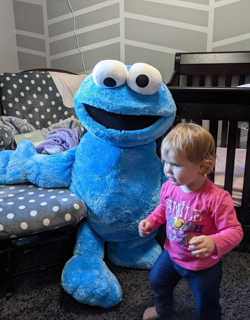 HUGE JUMBO COOKIE MONSTER !! – Bright Time Toys